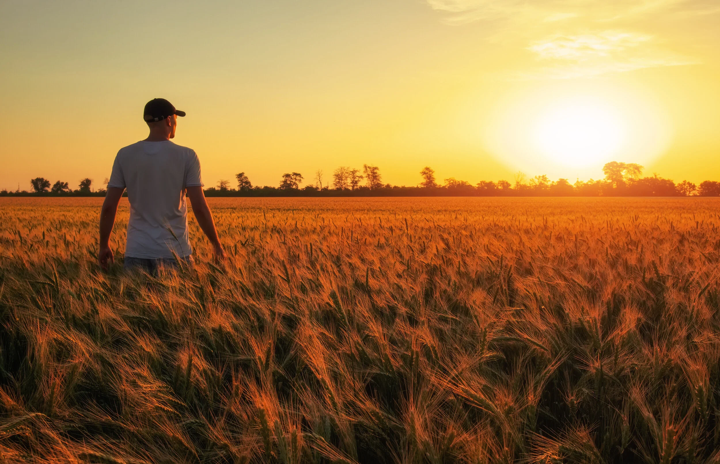 Agronomy — Agricore Group