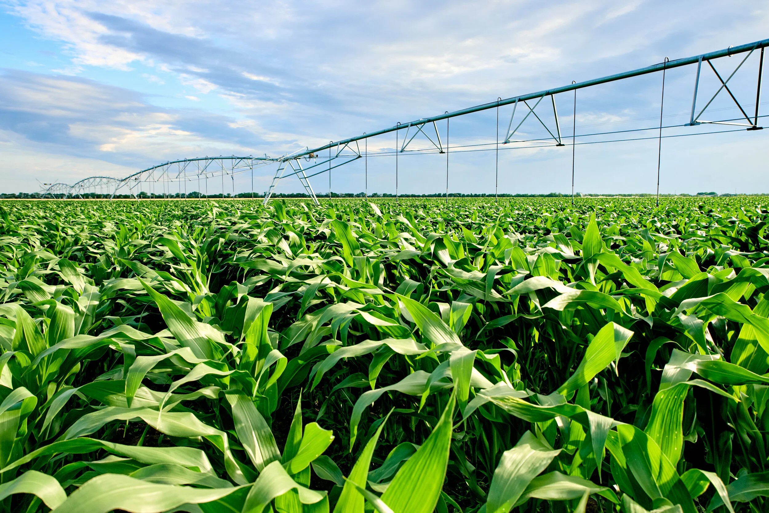 Agronomy — Agricore Group