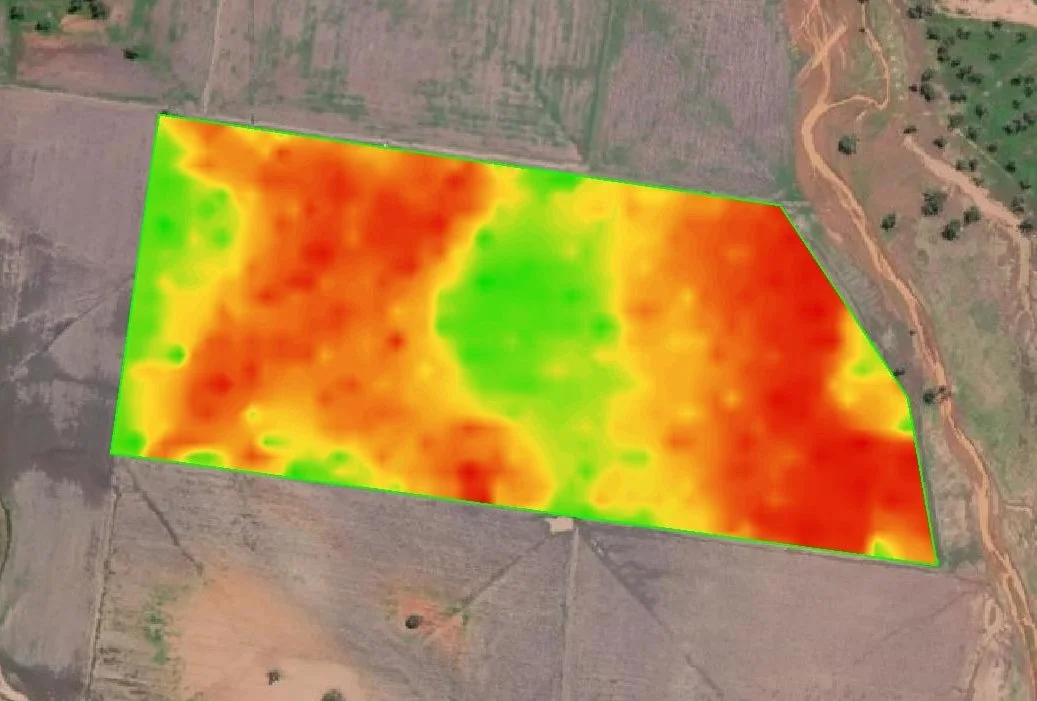 “Olinga” achieves Durum excellence in a challenging season. — Agricore ...