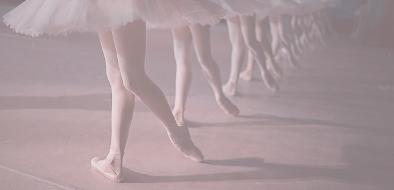 Pointe Shoe Fittings — Dancestuff