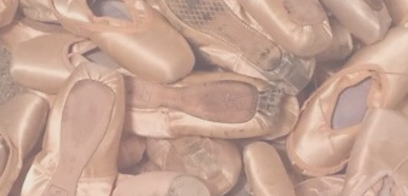 Pointe Shoe Fittings — Dancestuff