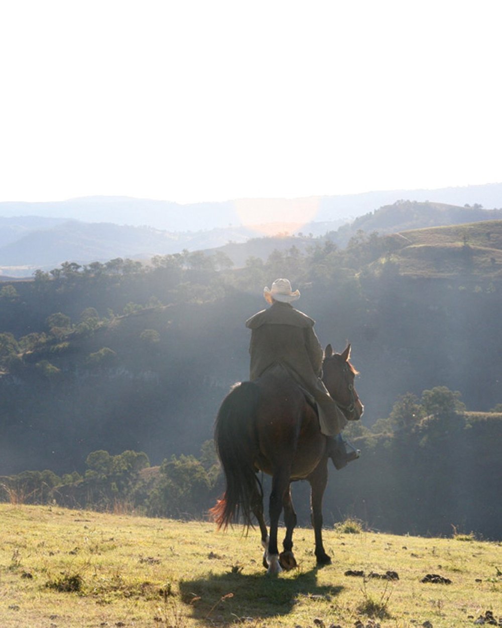 Explore the best of the Blue Mountains
