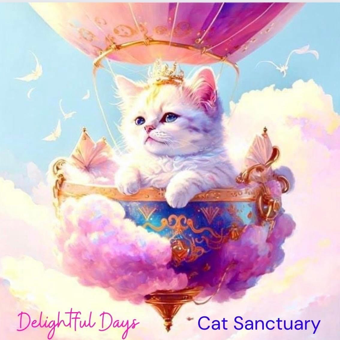 Delightful Days Cat Sanctuary