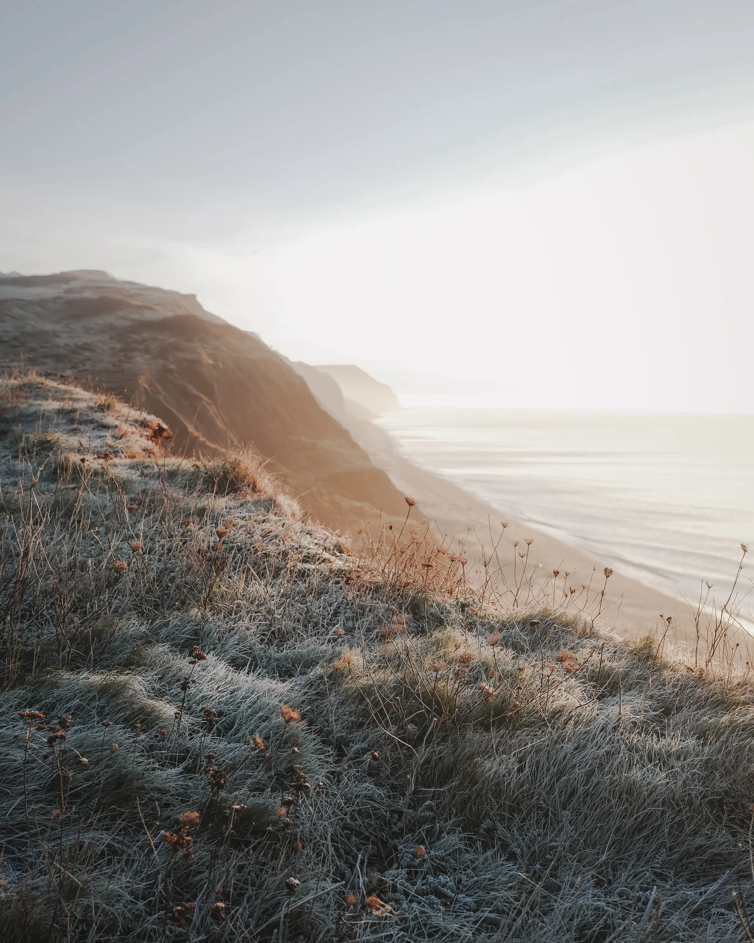 Salt Haven is not just an interior design brand. Salt Haven - Interior ...