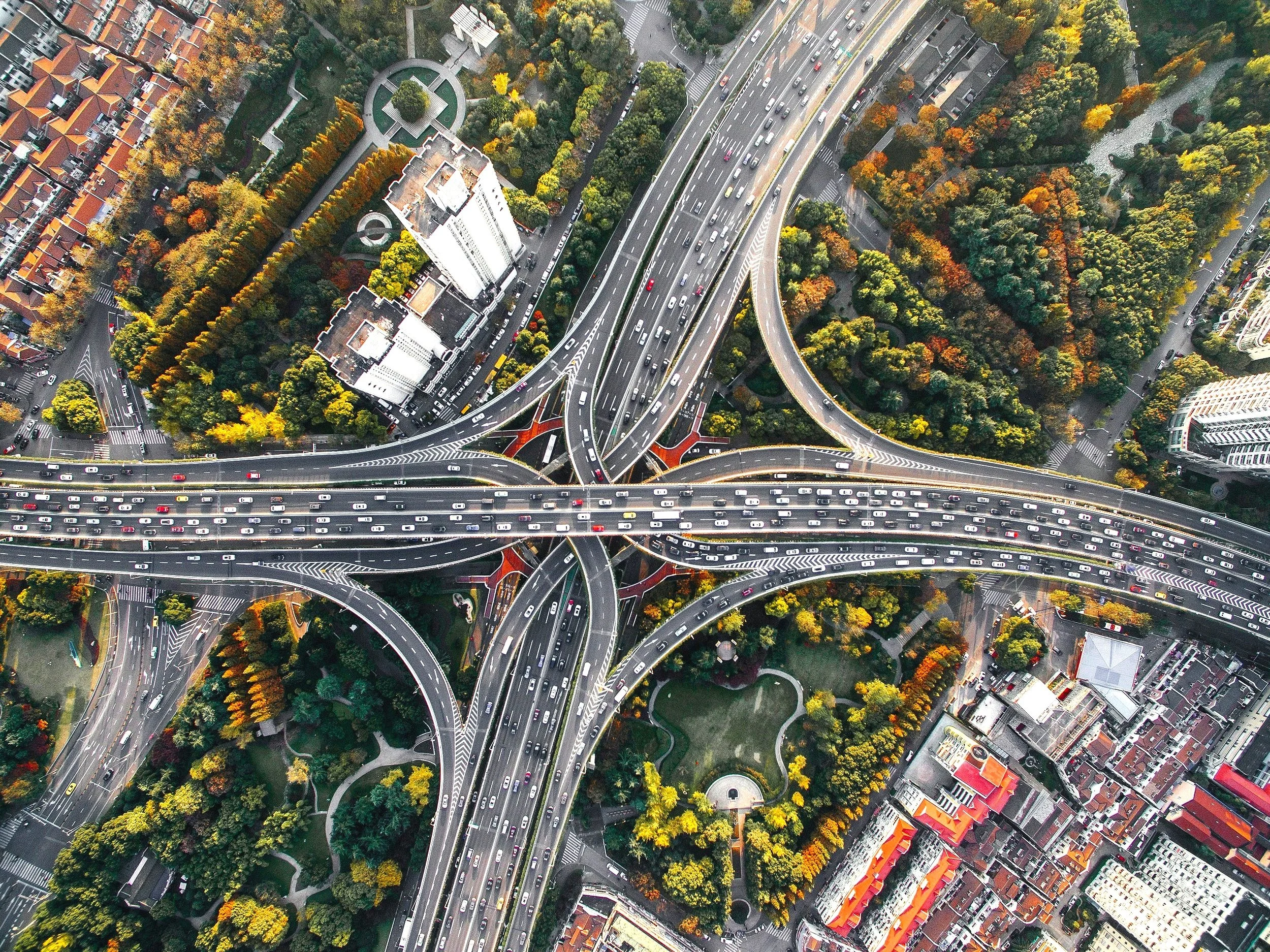 A guide to Ecological Corridors for Urban Rewilding — Natural solutions