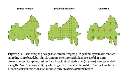 Ultimate Guide: Camera Trap Sampling Methods — Natural solutions