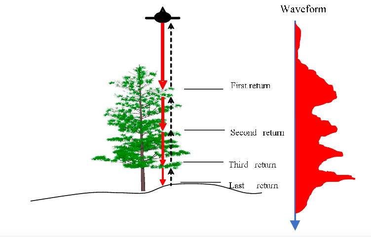 Forest Inventory with LiDAR — Natural solutions