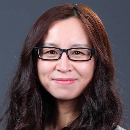 Member Spotlight: Hongmei Wang, PhD — International Society for Stem ...