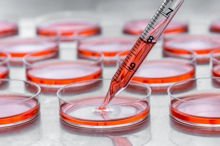 Basic Stem Cell Research Standards — International Society for Stem ...