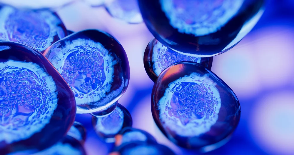 Section 4: Stem Cell-based Model Systems — International Society for ...