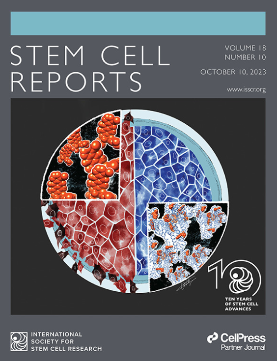 Cincinnati International Symposium — International Society for Stem ...