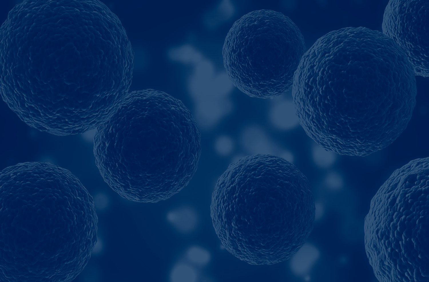 Meetings from Around the Field — International Society for Stem Cell ...