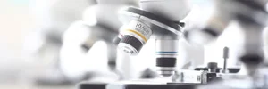 Basic Stem Cell Research Standards — International Society for Stem ...