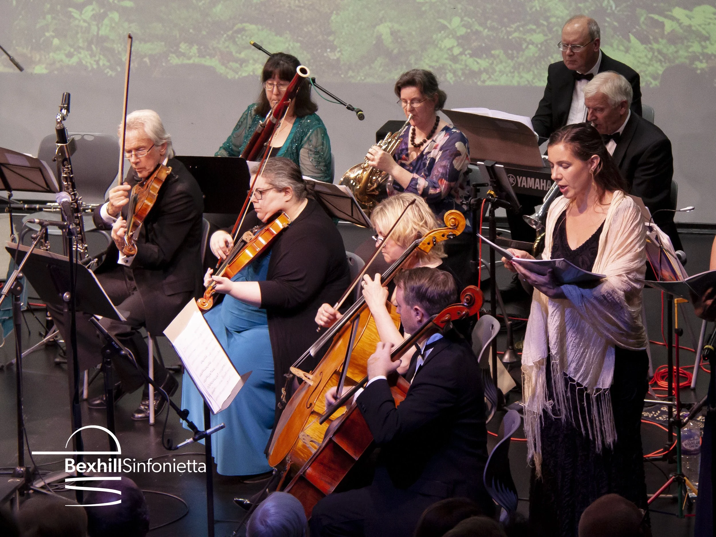 Inaugural Concert — Bexhill Sinfonietta Society
