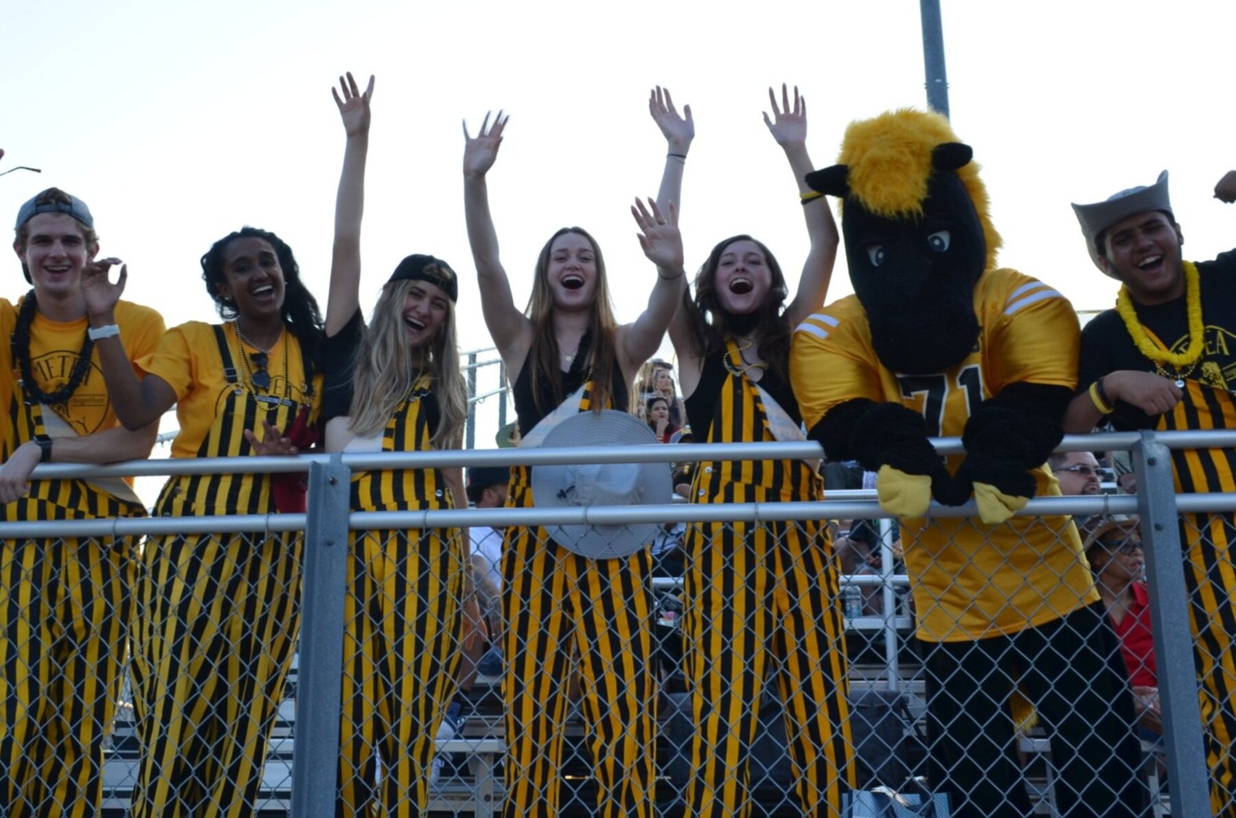 Metea Valley Athletic Boosters