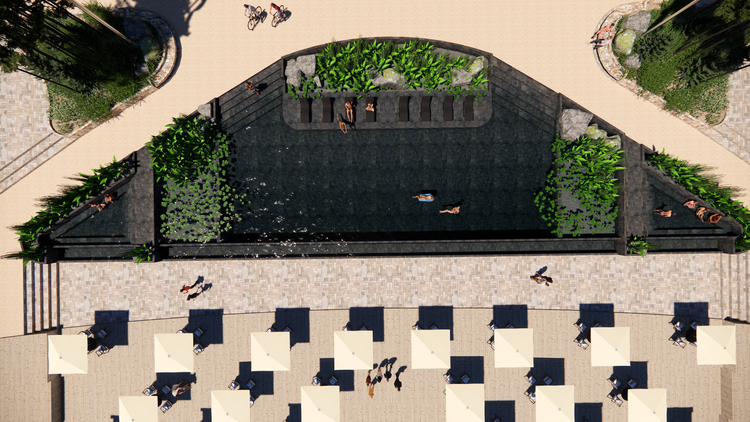 Organic Pool Top View — Peter Lombardi Architects