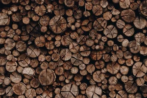 11 most Common Lumber Defects and Their Remedies — Wild Edge Woodcraft