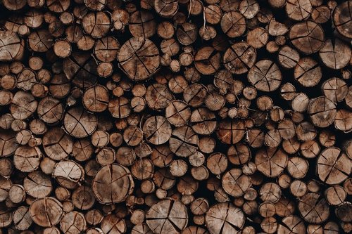 11 most Common Lumber Defects and Their Remedies — Wild Edge Woodcraft