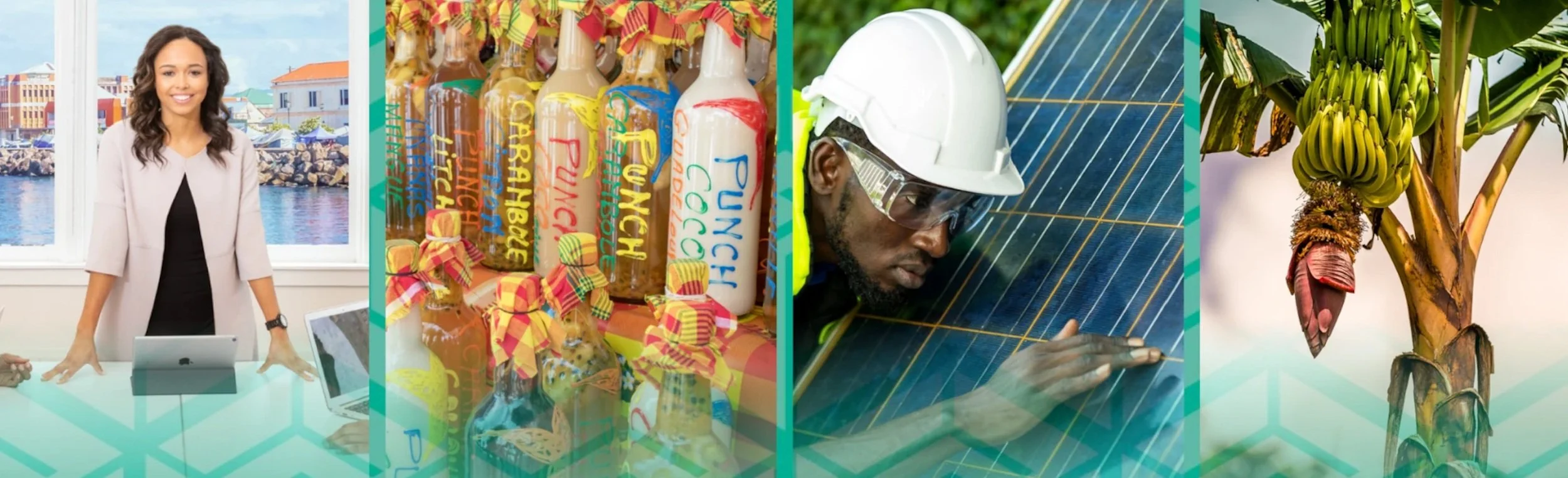 Accelerator Program Details — Caribbean Greenpreneurs