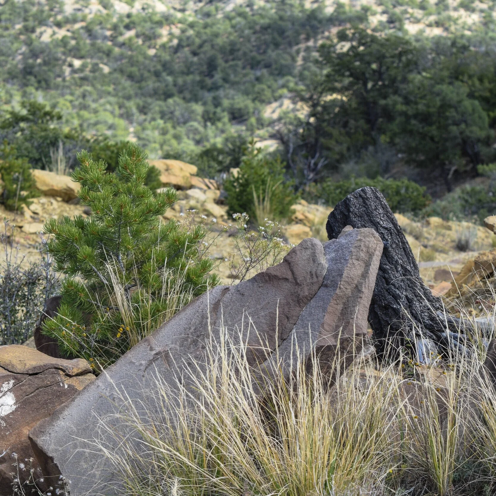 About — Verde Realty