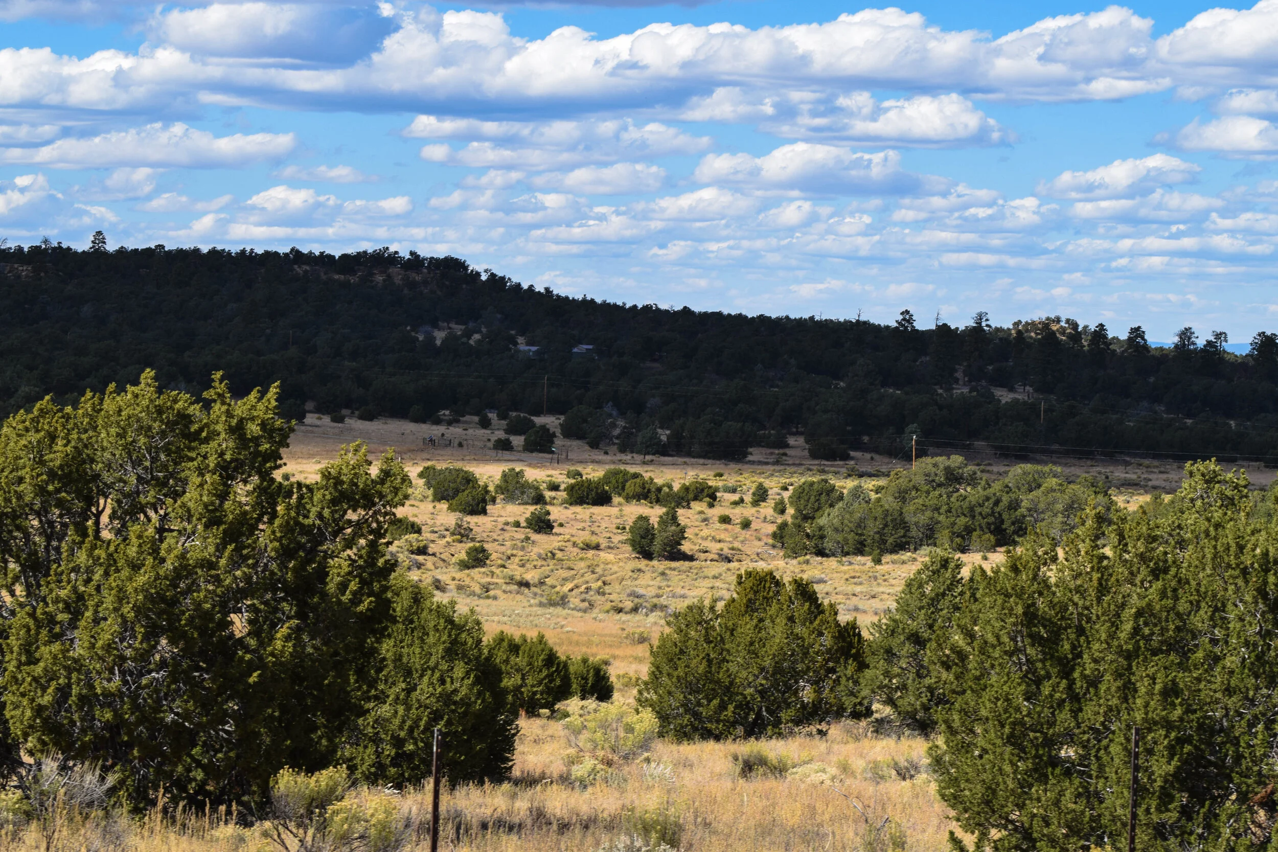 Verde Realty | Premier Ranch Brokers
