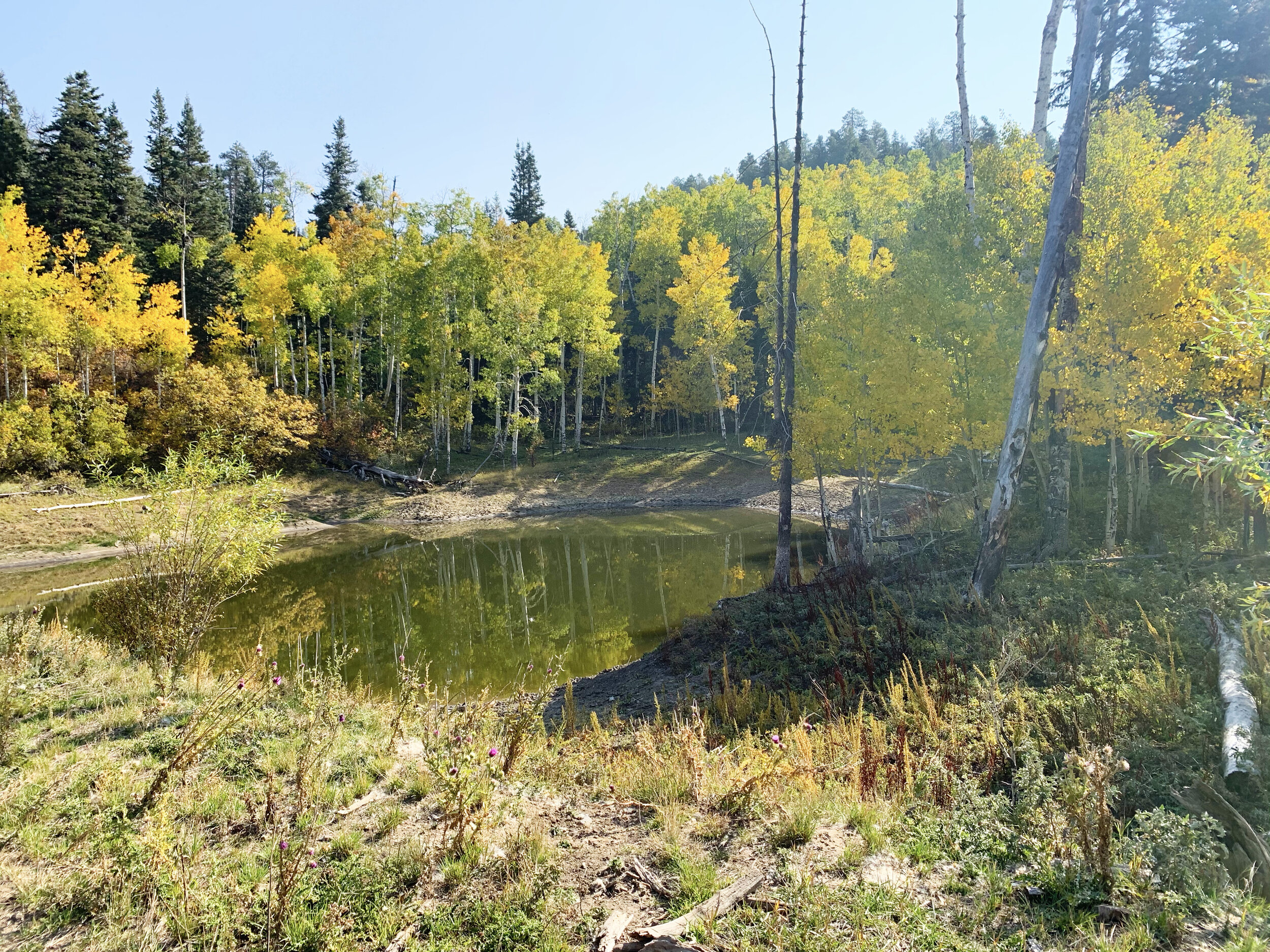 Verde Realty | Premier Ranch Brokers