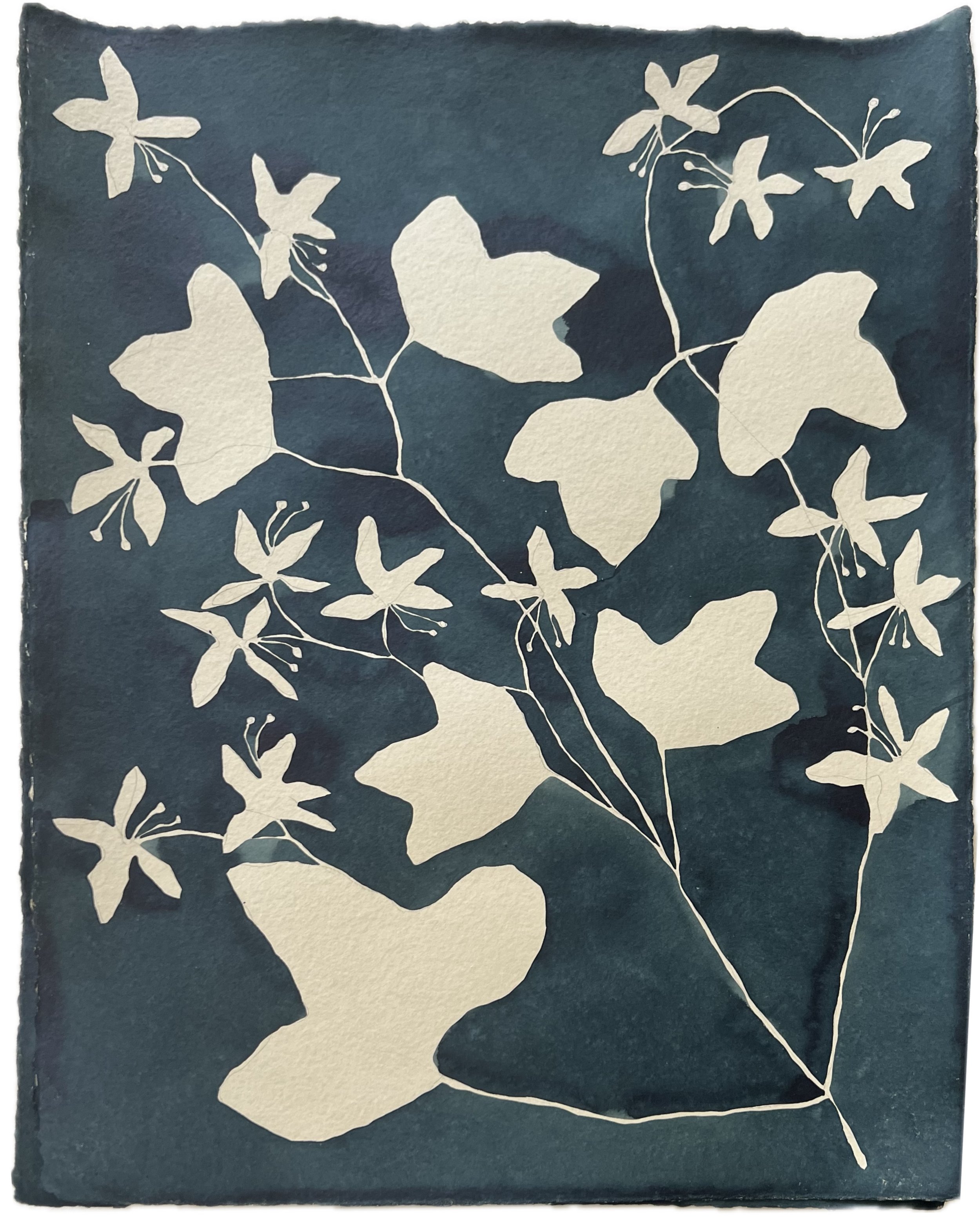 Kate Roebuck-new — libby silvia artstyle