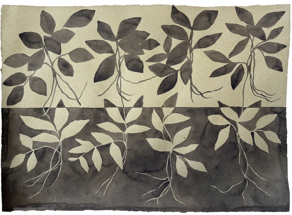 Kate Roebuck-new — libby silvia artstyle