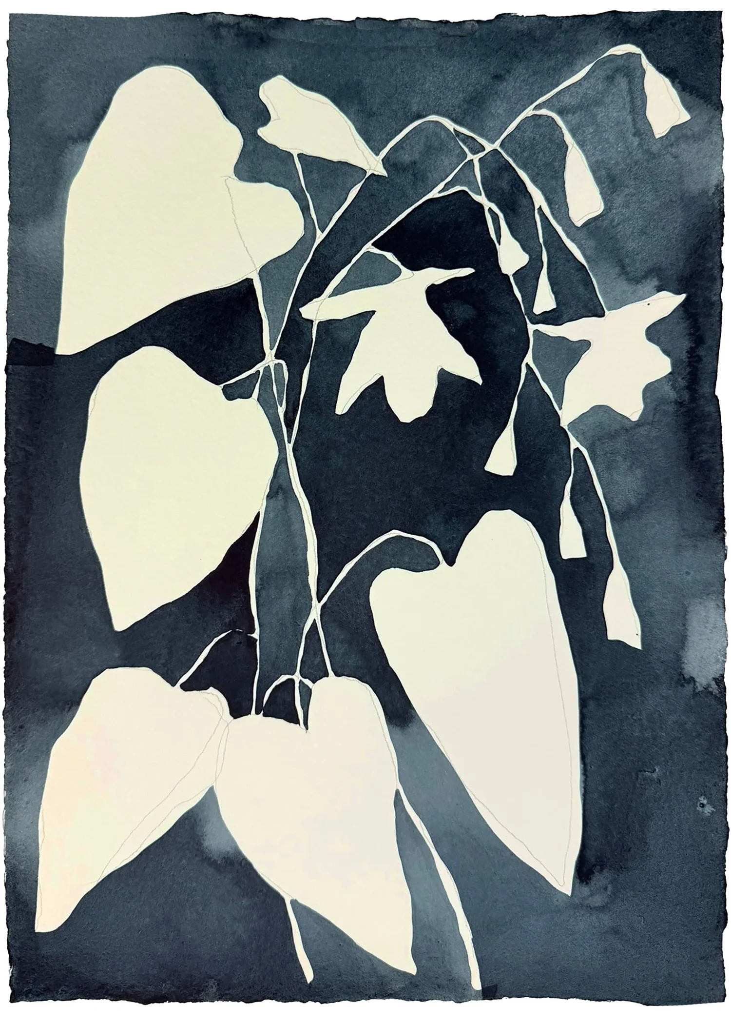 Kate Roebuck-new — libby silvia artstyle