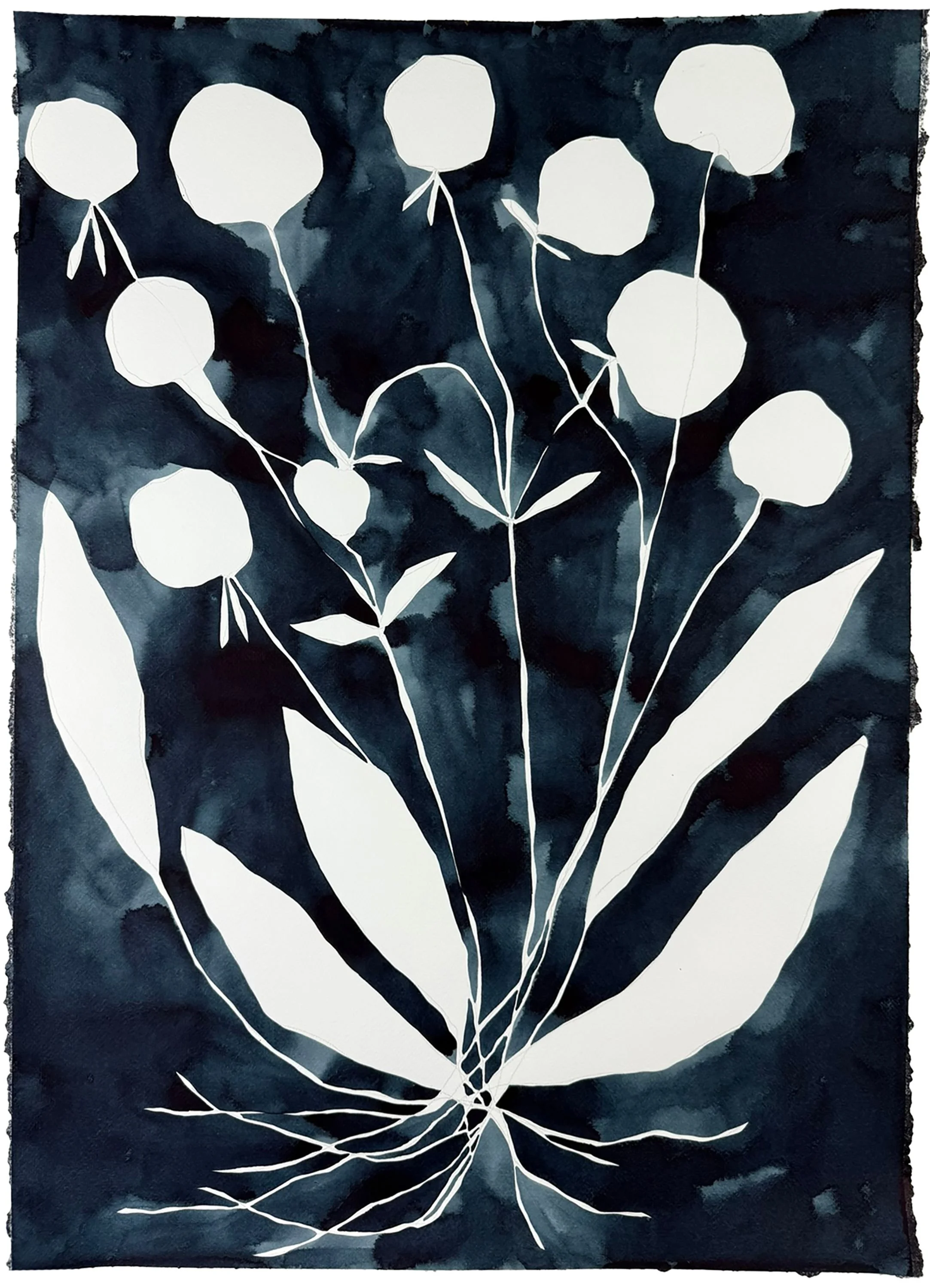 Kate Roebuck-new — libby silvia artstyle