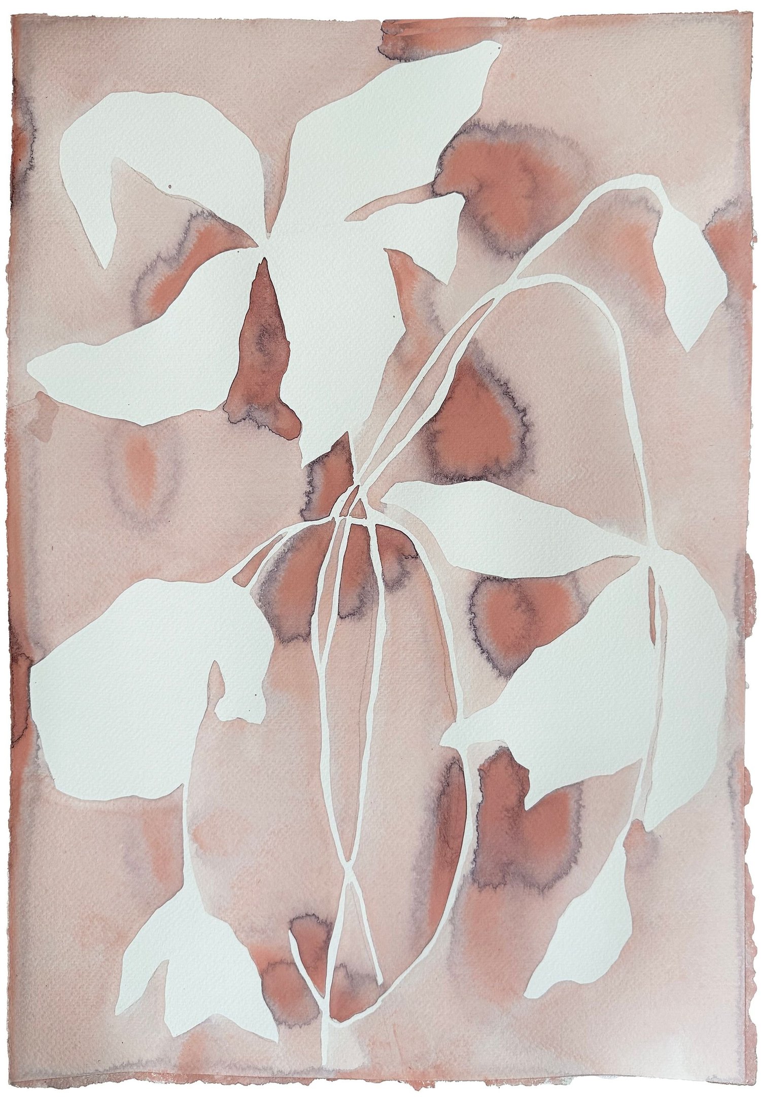 Kate Roebuck-new — libby silvia artstyle
