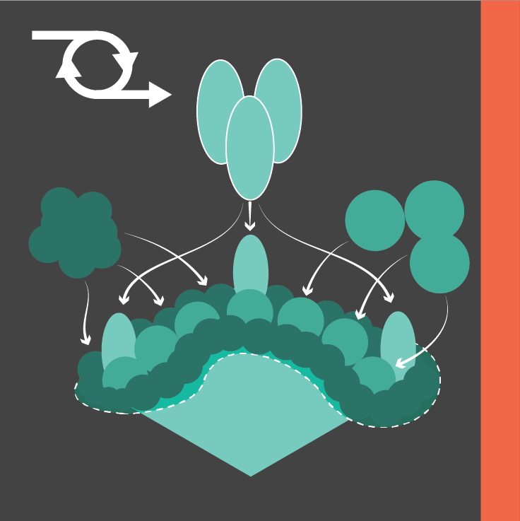 Workflows — Land Kit