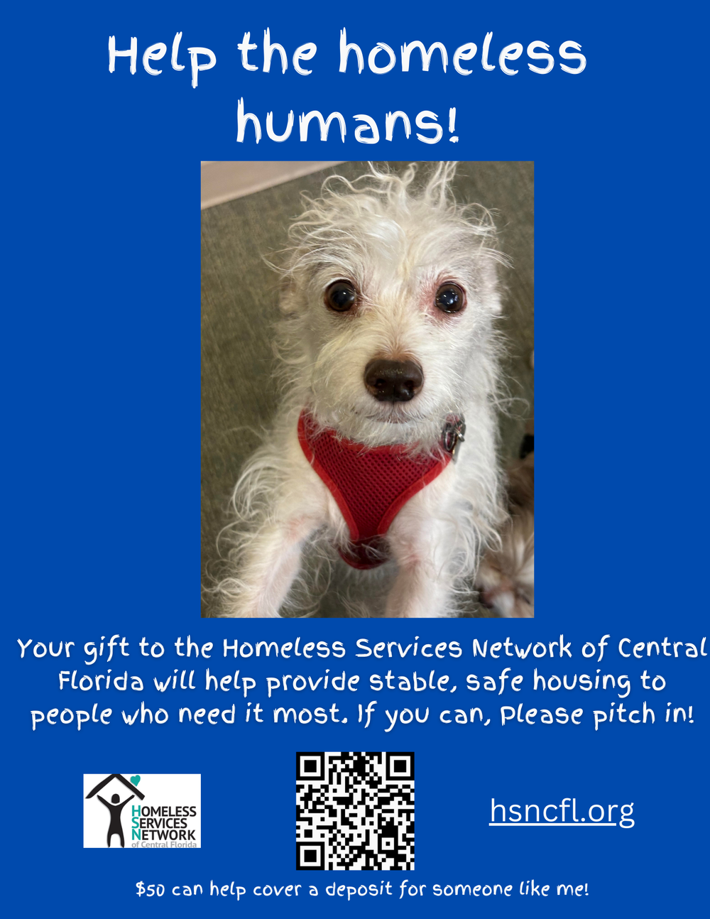 Homeless Services Network of Central Florida