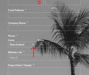 How to change the select field dropdown arrow colour in Squarespace ...