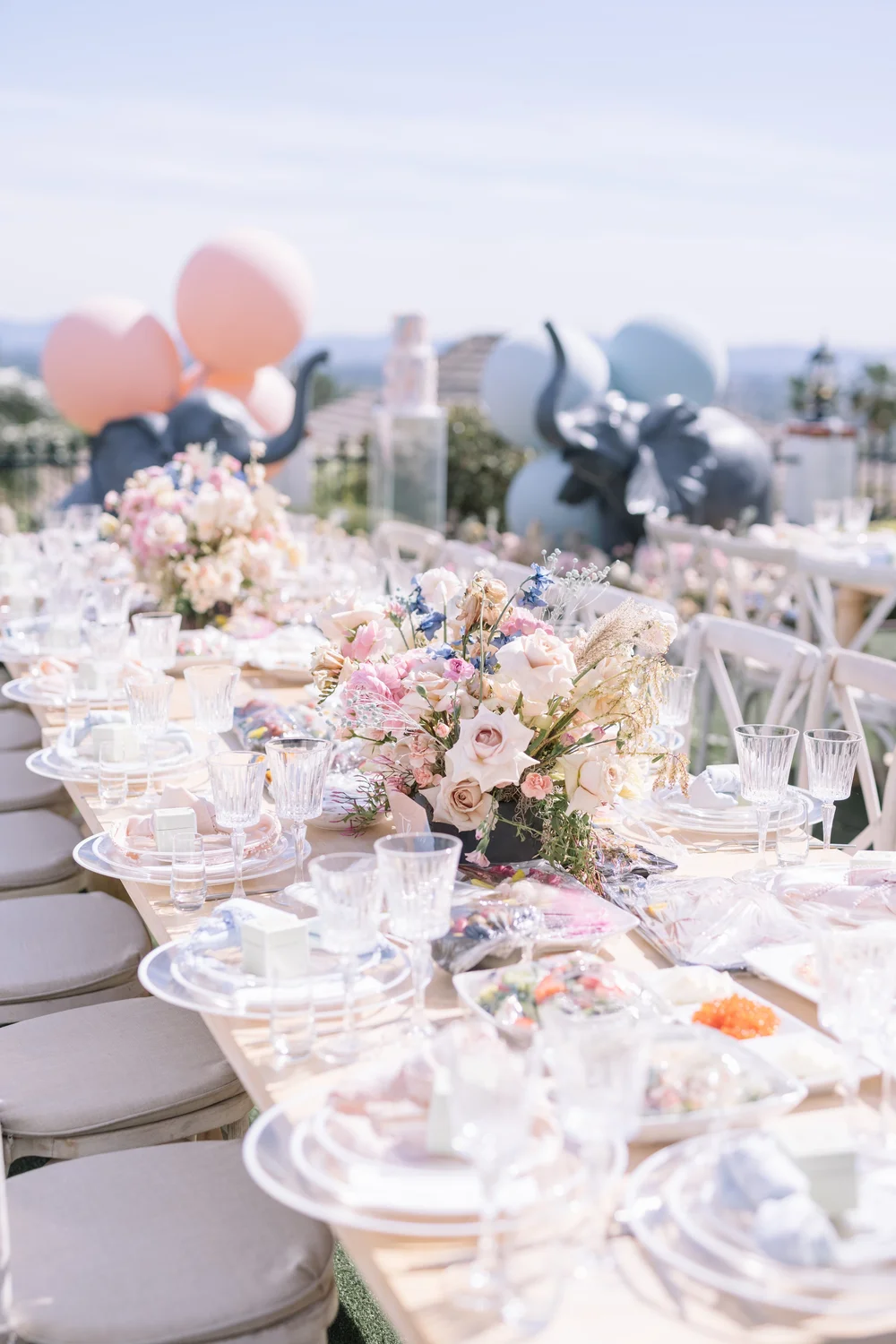 Backyard Gender Reveal — Event Du Jour