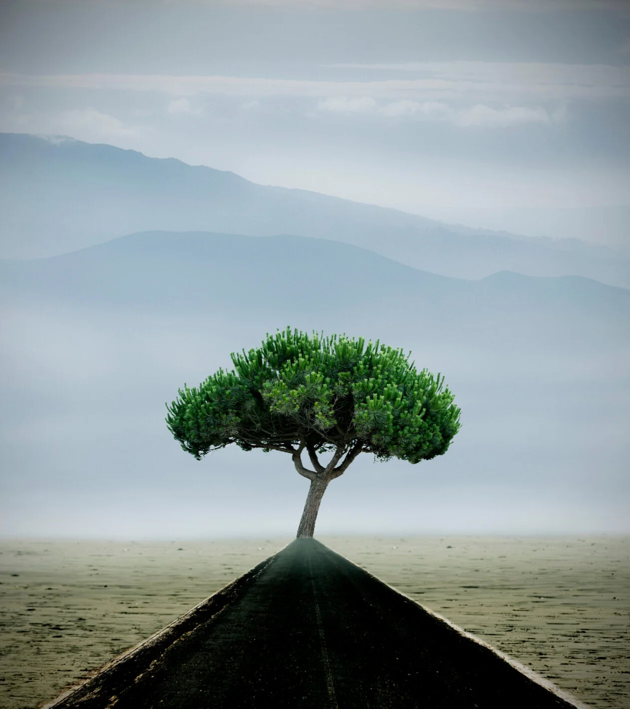 Ecoleader — Université dans la Nature