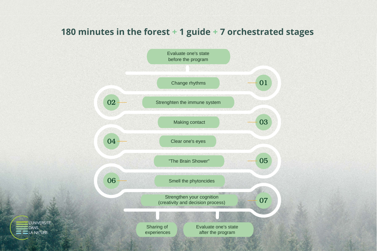 Nature (Re)Connection — Université dans la Nature