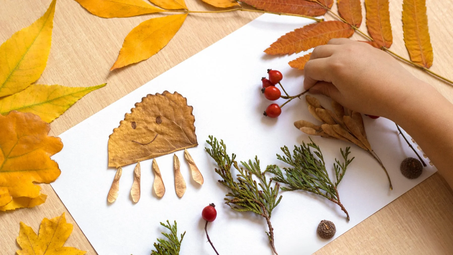 How to Bring Nature into Schools - UNature