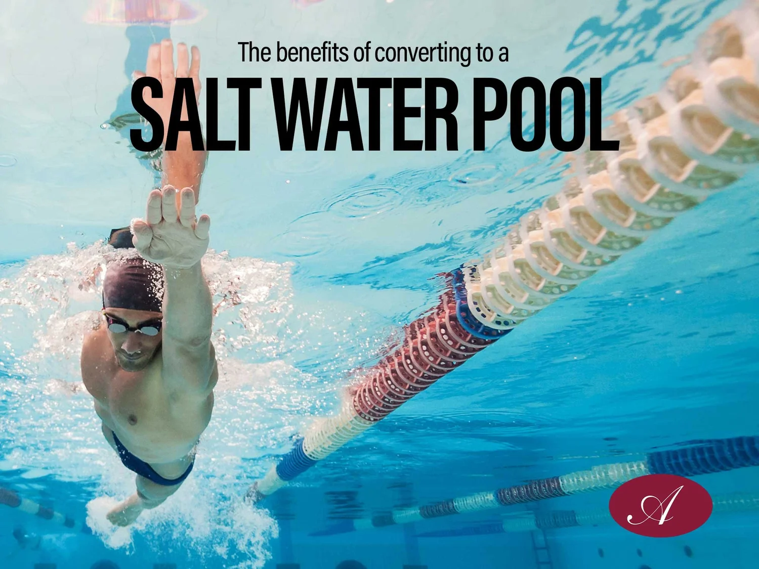 Salt Water Lap Pool — The Abington Club