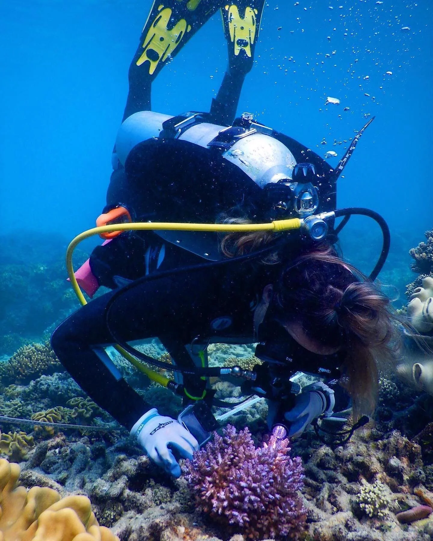 Total Dive Solutions