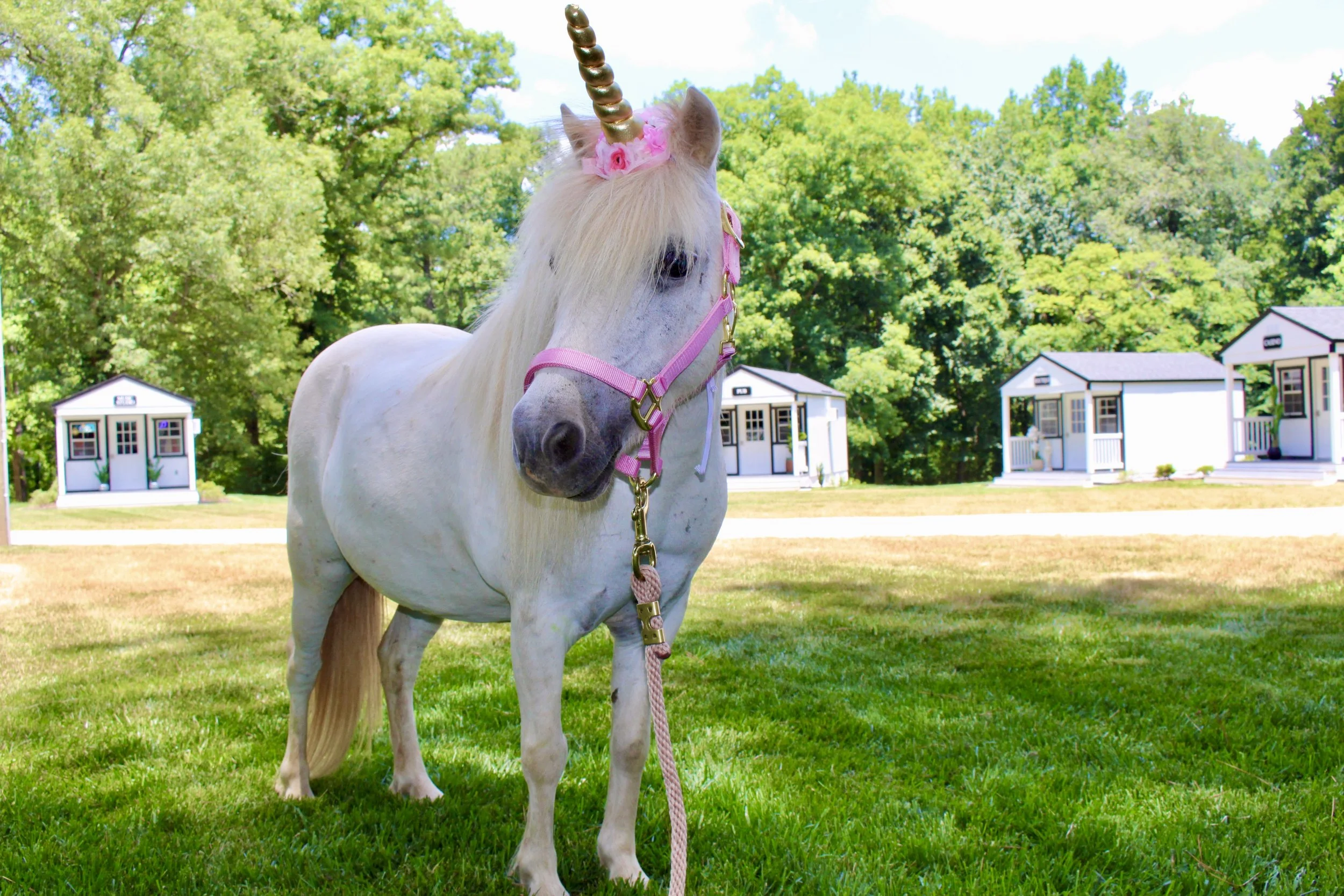 Seven Paths City — Seven Paths Manor