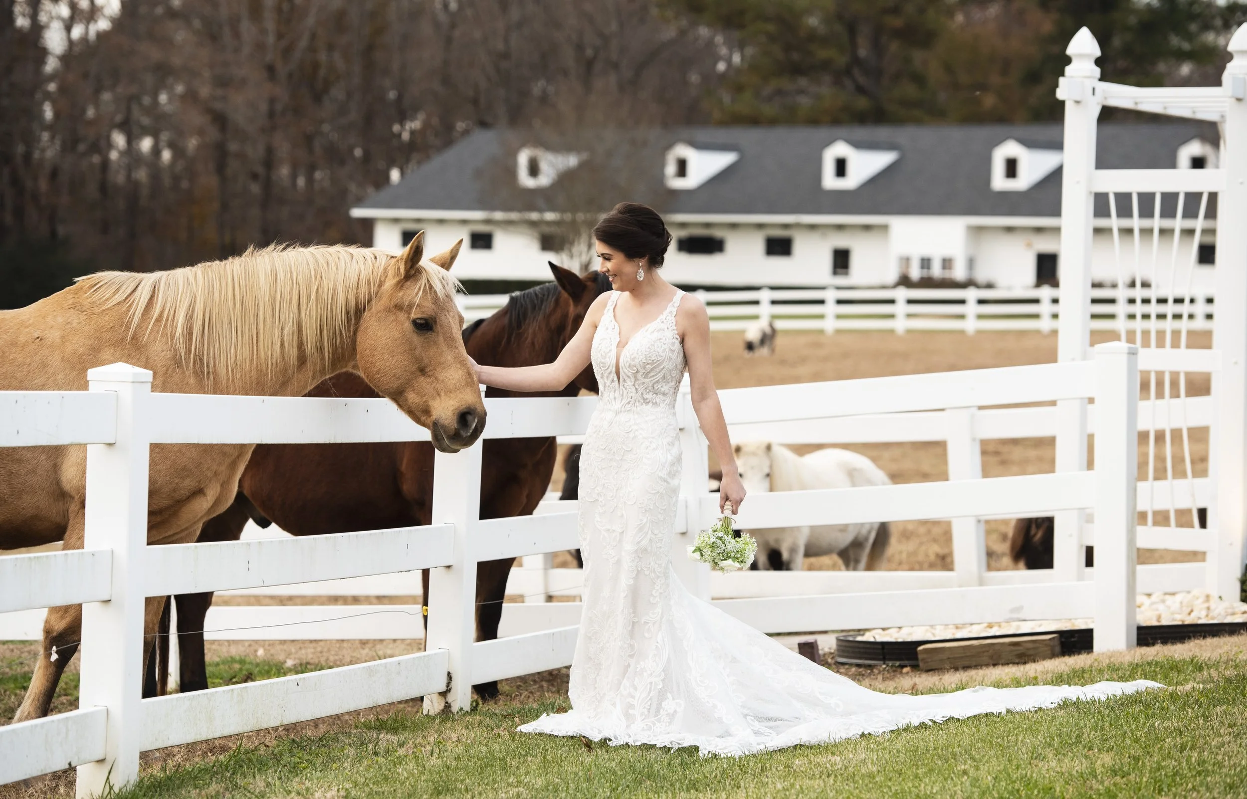 Contact 1 — Seven Paths Manor