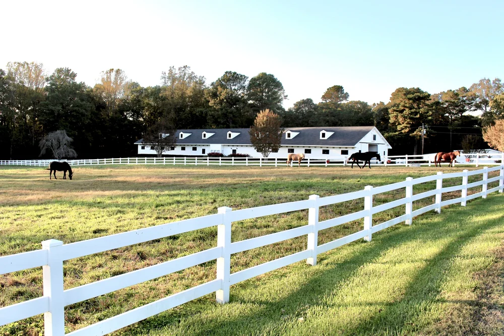 About 5 — Seven Paths Manor