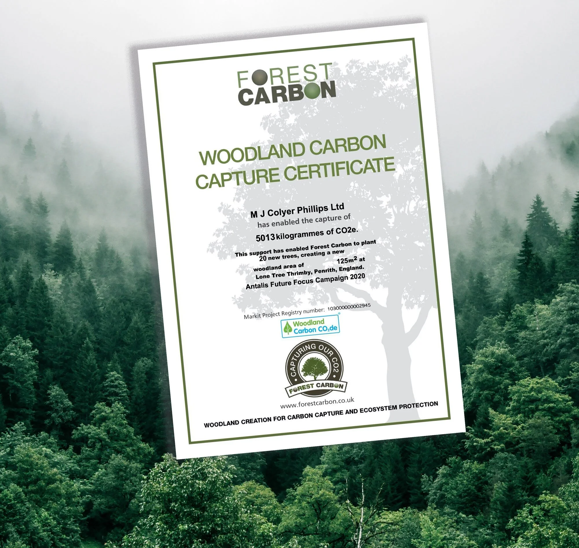 More Juice Creative Print - MJCP