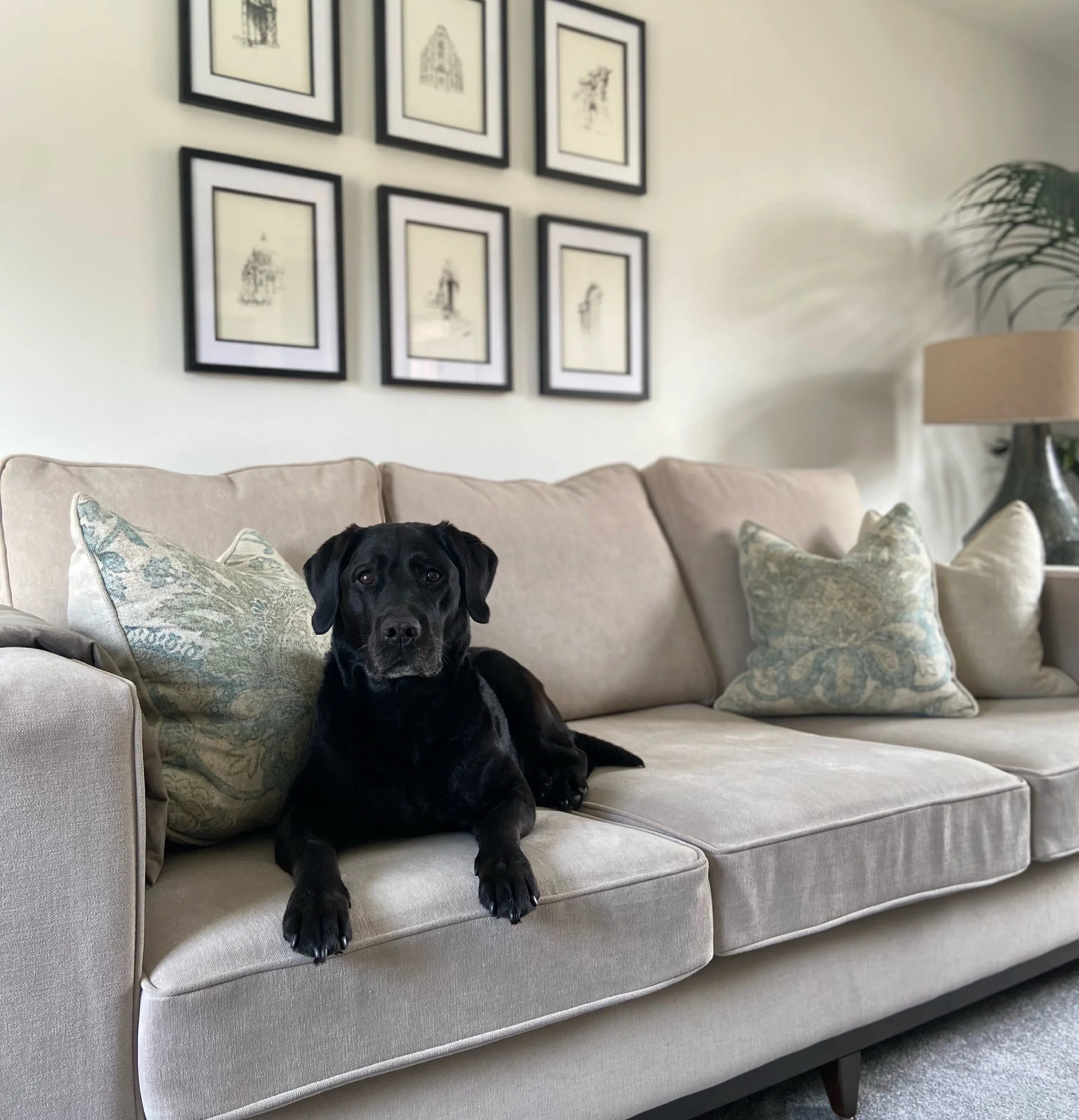 Grayson House Interiors