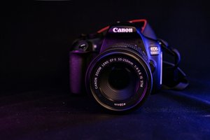 Best Canon Cameras for Concert Photography (Low Light & Real-World ...
