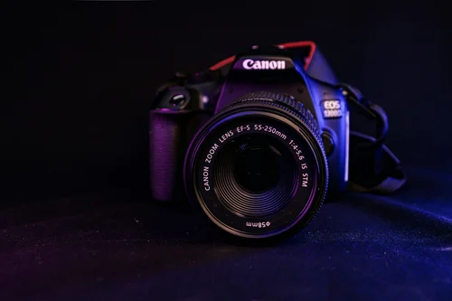 Best Canon Cameras for Concert Photography (Low Light & Real-World ...