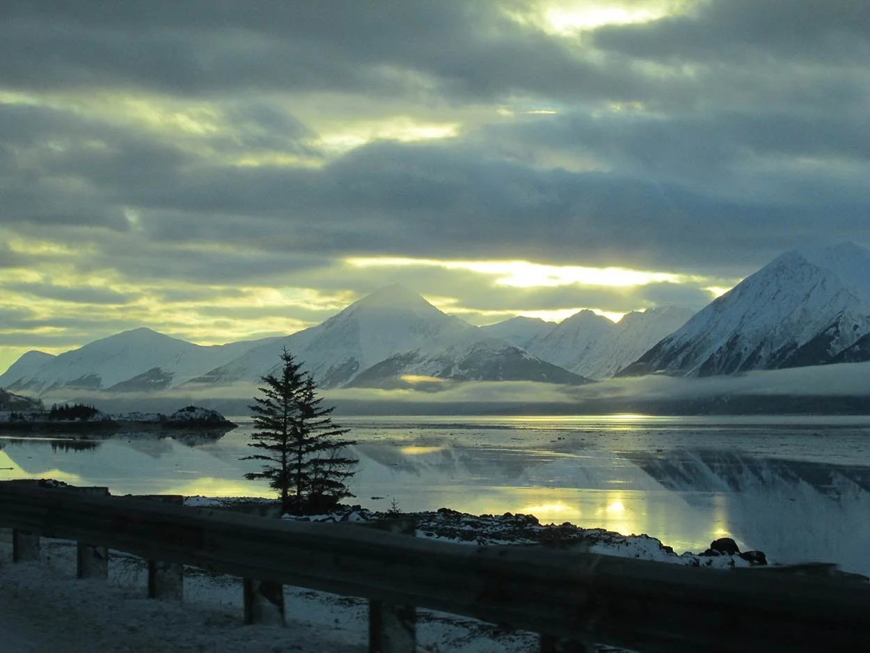 Behind the Lens: How Did I Get Here with photography?