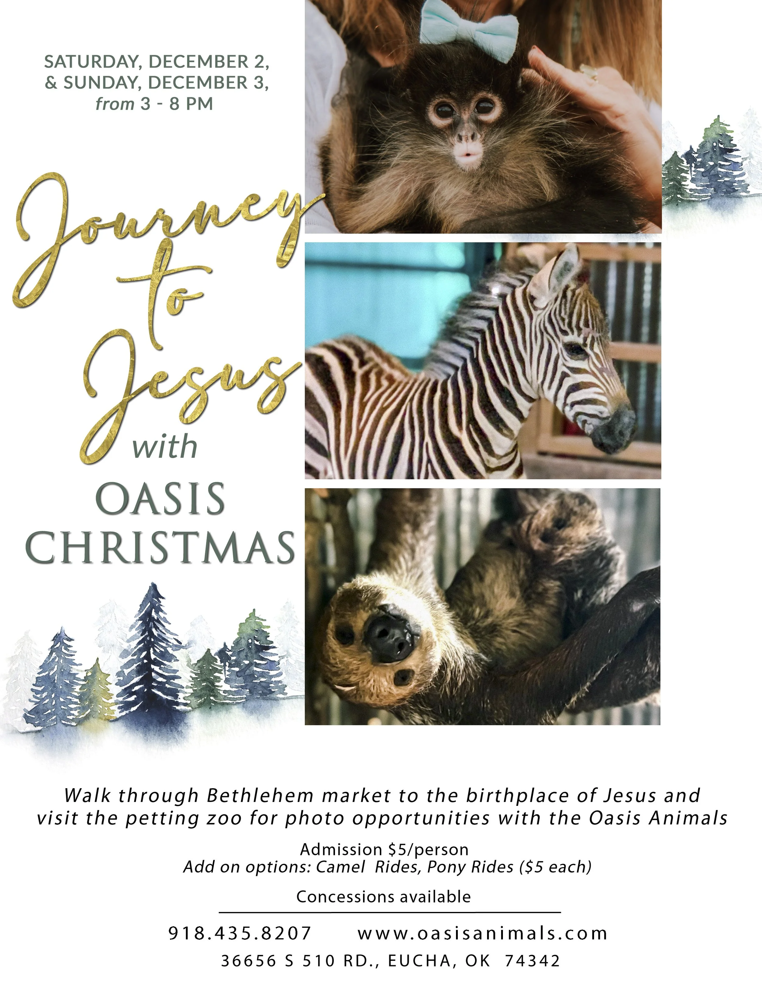 Look What's Happening! — Oasis Animal Adventures