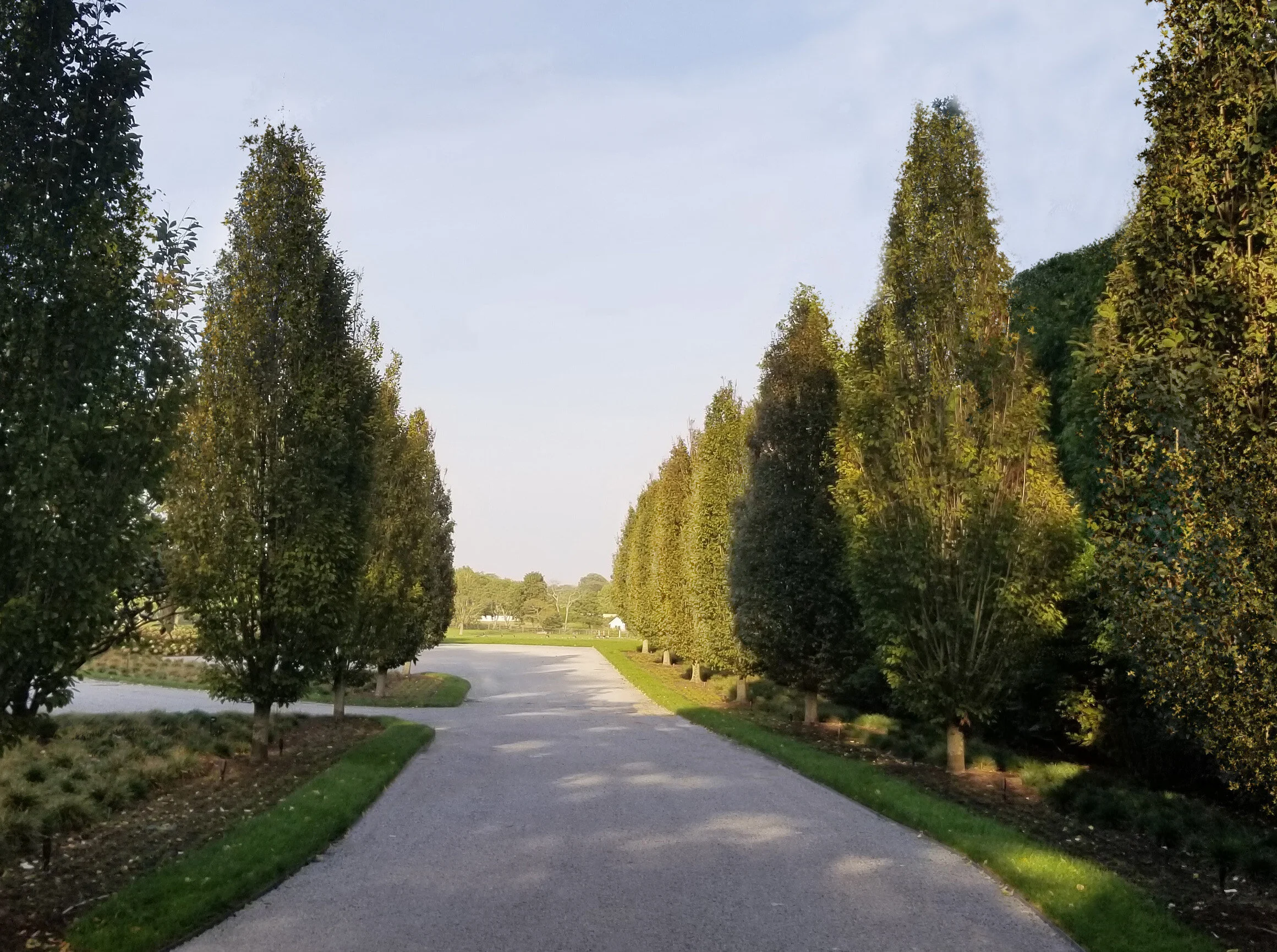 RESIDENTIAL — GRANT WELLMAN DESIGN